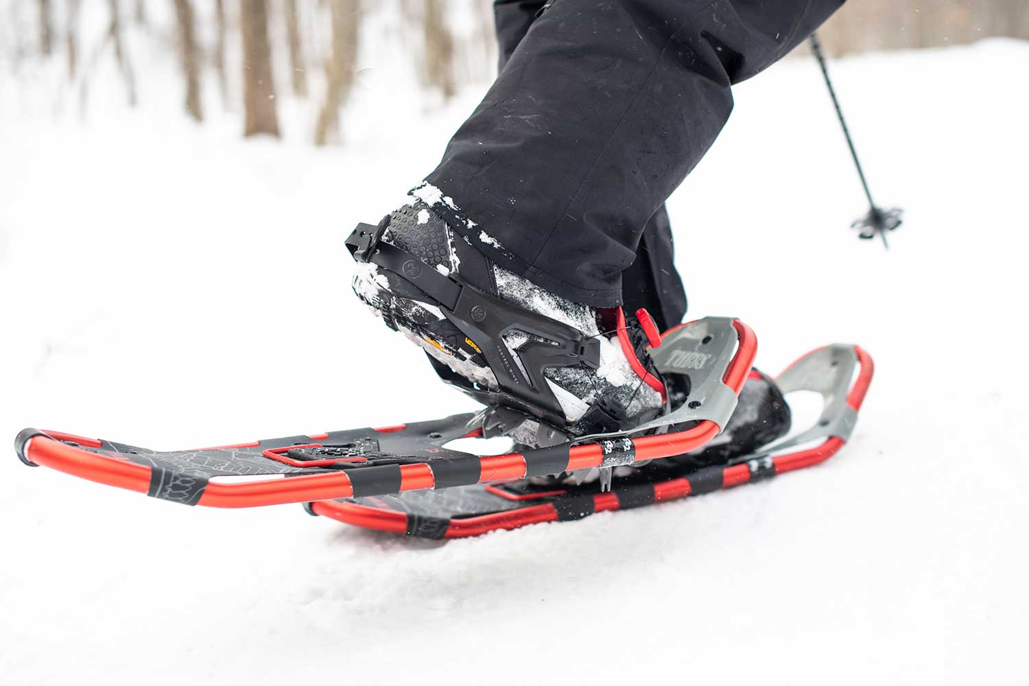 Top 8 Trails for Snowshoeing in Canada - Sporting Life Blog